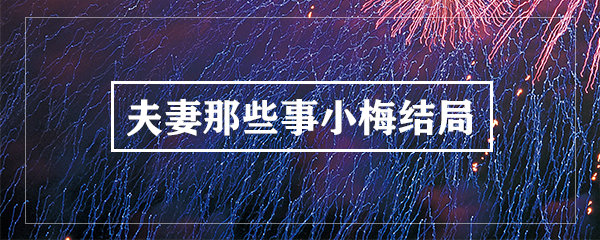夫妻那些事小梅结局 电视猫