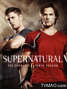 邪恶力量第六季剧情介绍（1-22全集）_电视剧_电视猫